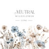Neutral Wildflowers Clipart, Boho Flowers Clipart, Wildflowers ...
