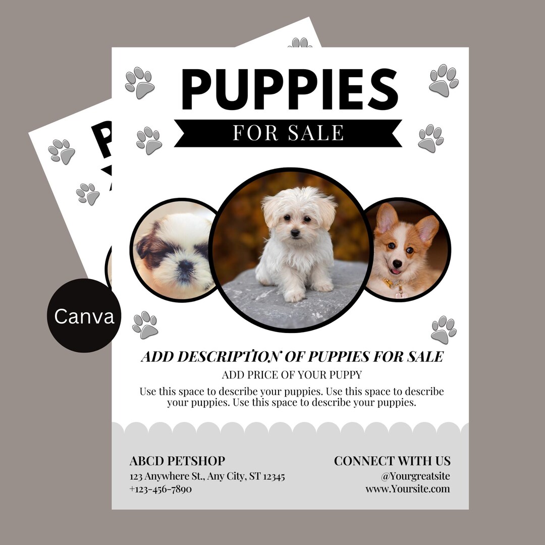 Dog Breeder Flyer | Dog for Sale Flyer | Puppies for Sale Flyer ...