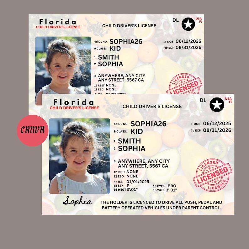 Drivers License Editable Template | Kids Play Driver License | Editable ...