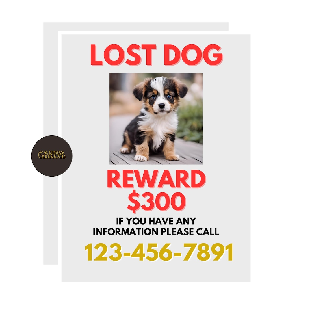 Missing Dog Flyer | Editable Loss Pet Template | Lost Pet Alert ...