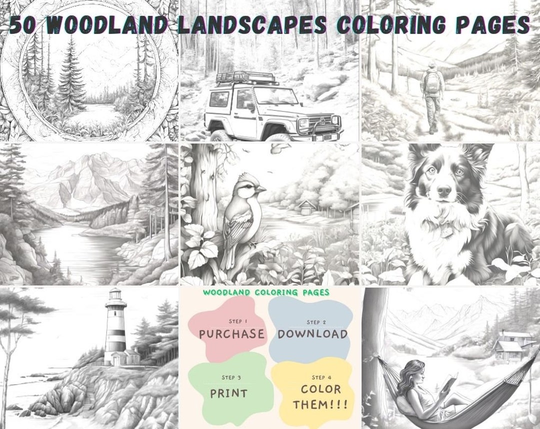 50 Woodland Landscapes Coloring Pages - Etsy