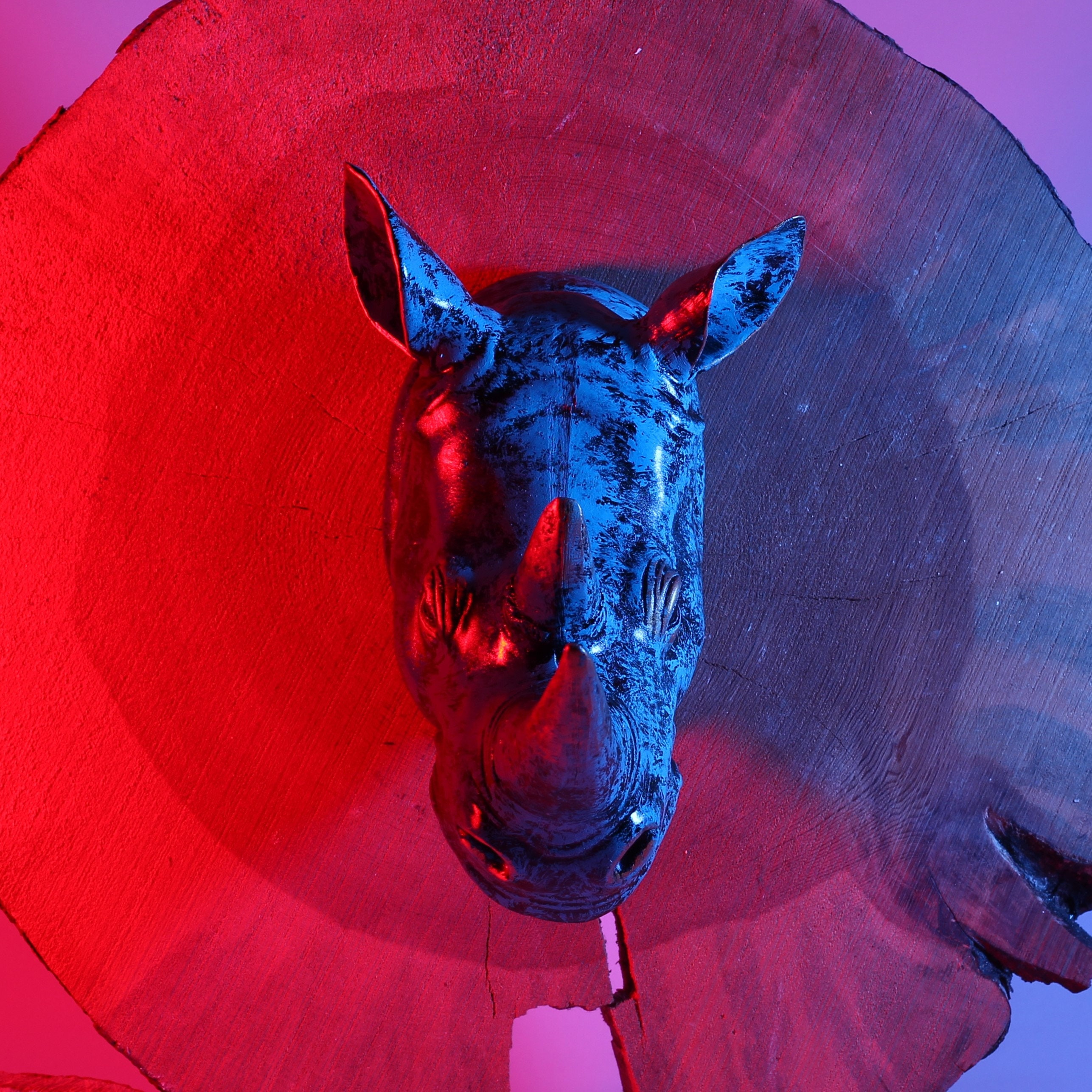 Blue Rhinoceros Head Wall Decor Rhino Head Wall Hanging - Etsy