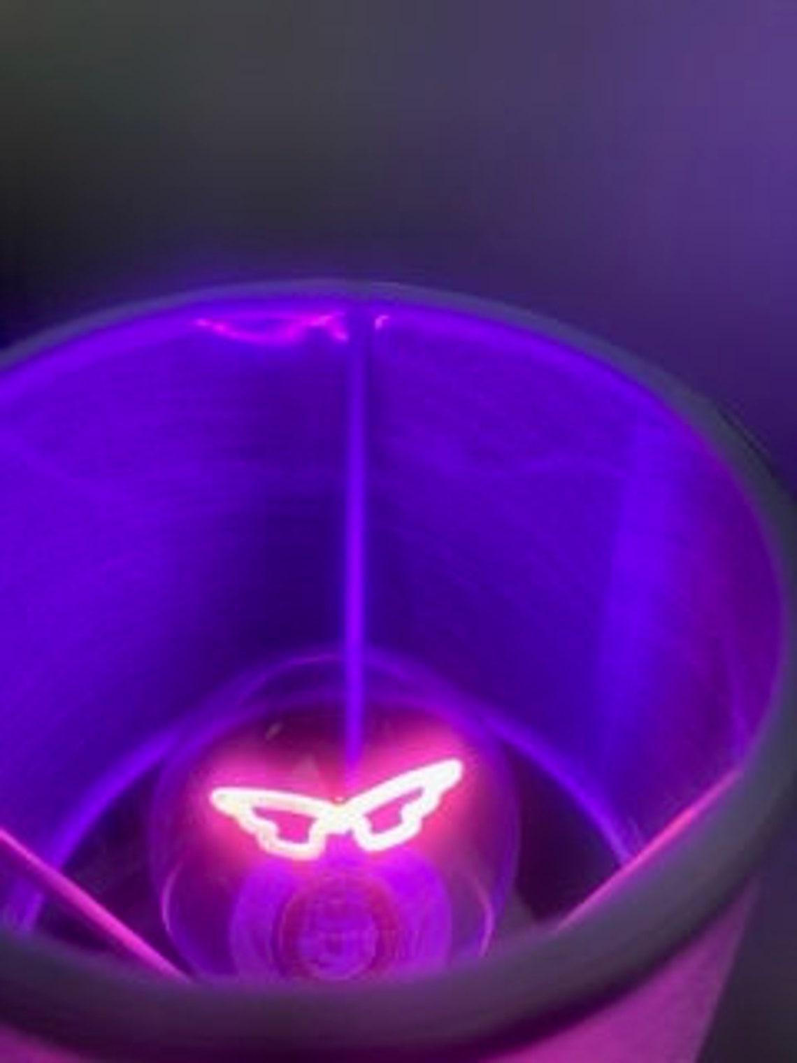 Butterfly LED Bulb, TT-A60BTR - Etsy