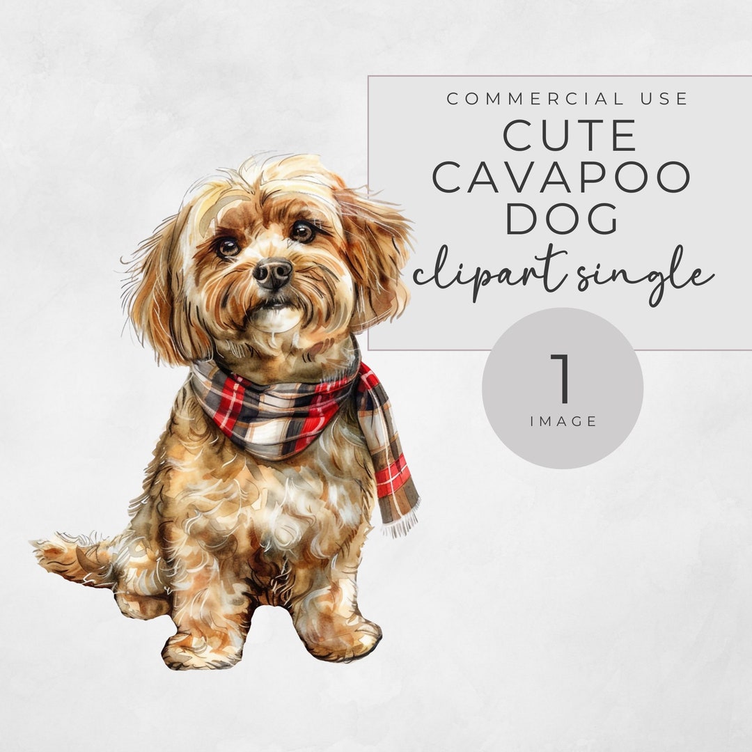 Cavapoo Clipart, Watercolor Cavoodle Dog Png, Small Breed Dog, Pet ...