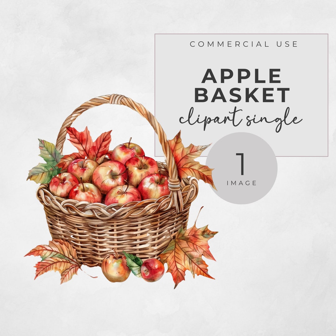 Autumn Harvest Basket Clipart, Watercolor Apple Autumn Png, Commercial ...