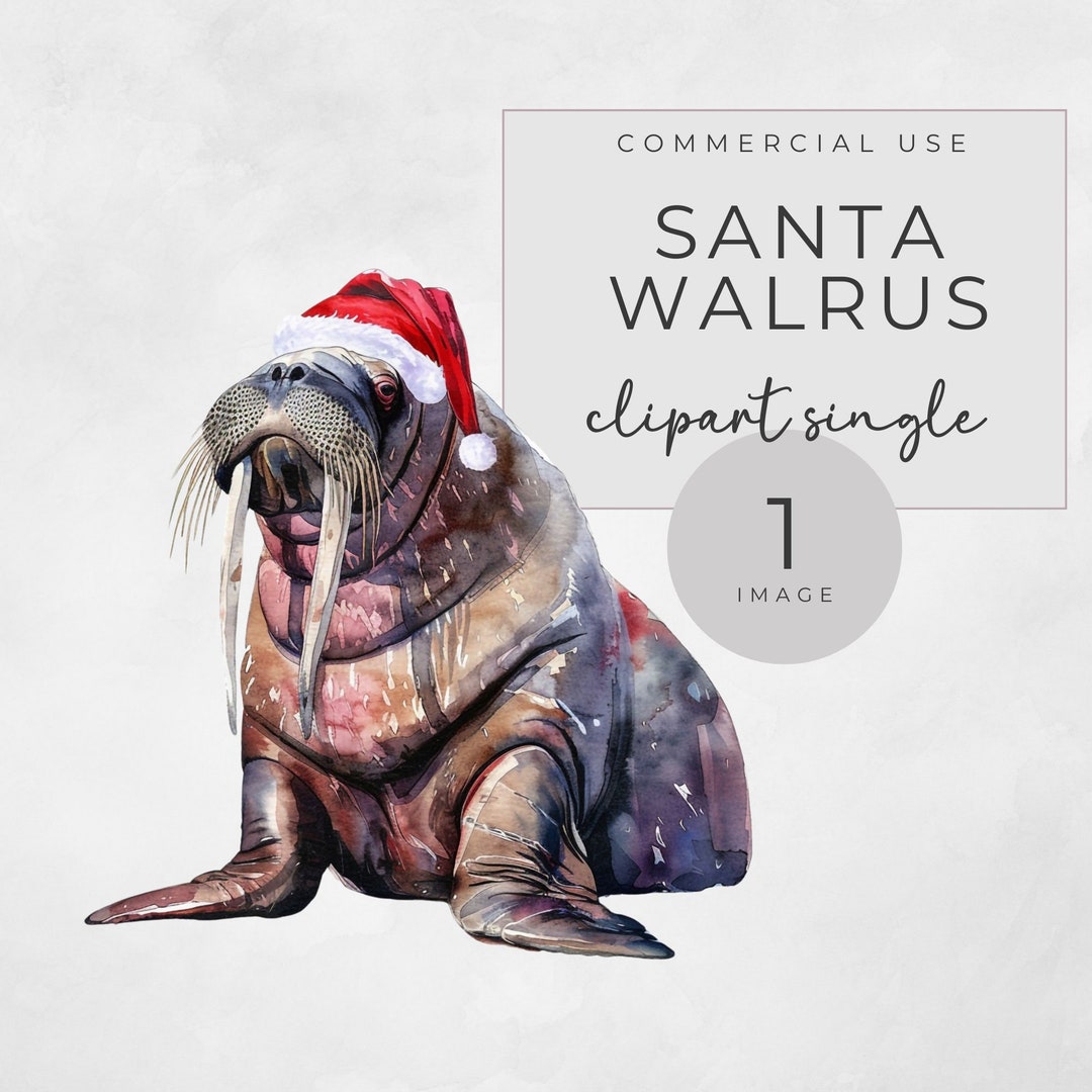 Artic Animals Clipart, Santa Hat Walrus, Transparent Pngs, Under the ...