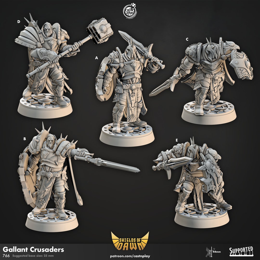 Gallant Crusaders, Paladin, Medium Mini, Shields of Dawn * Cast N Play ...