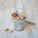 Bucket of Shells Decor, Coastal Knick Knacks, Ocean, Ocean Wedding ...
