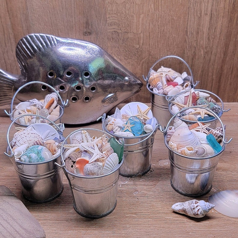 Bucket of Shells Decor, Coastal Knick Knacks, Ocean, Ocean Wedding ...