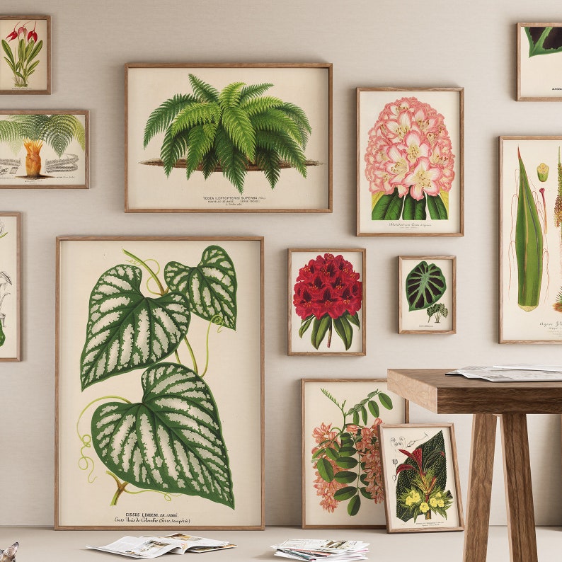 Set of 50 Vintage Botanical Posters | Digital Floral Art Prints ...
