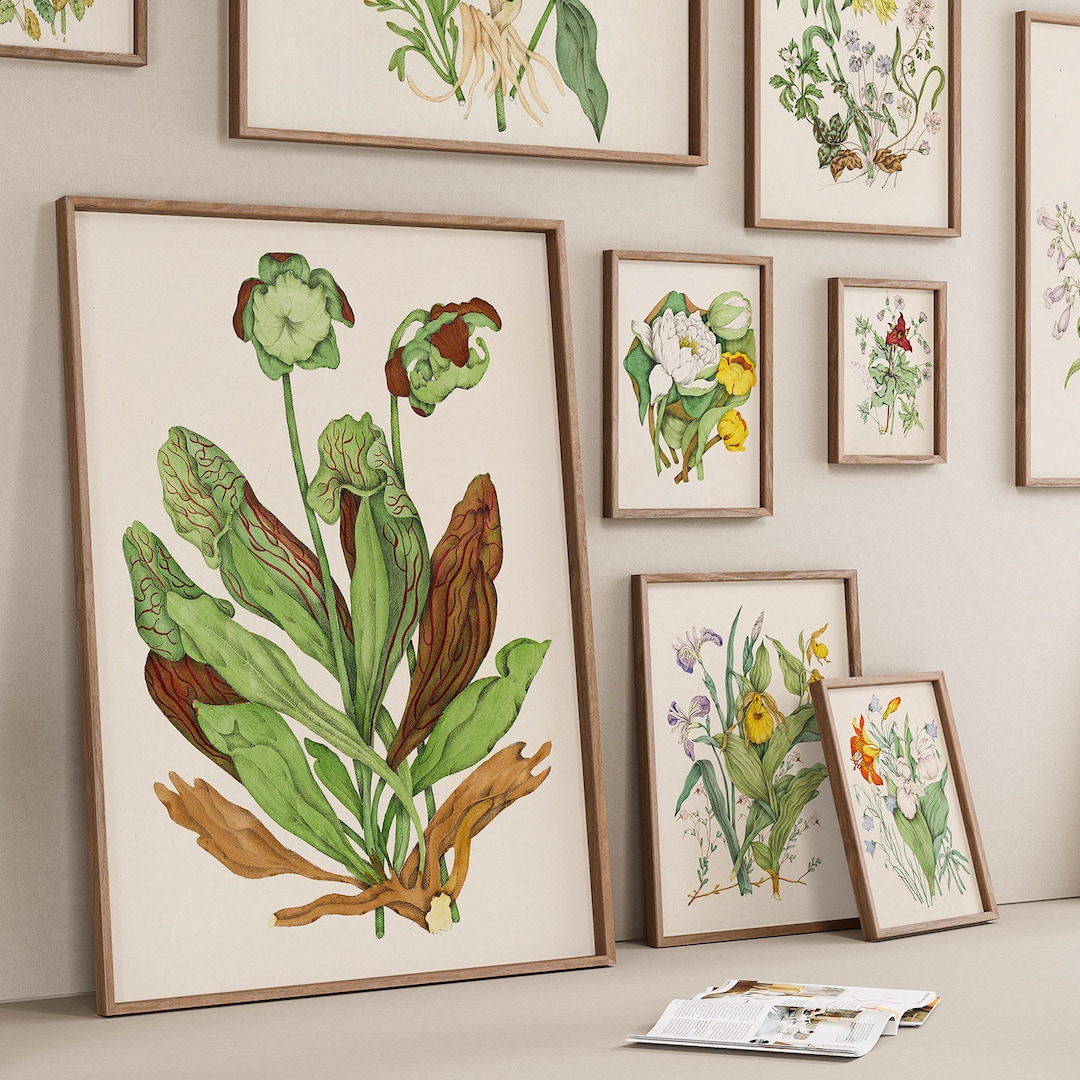 Set of 8 Vintage Botanical Posters Digital Floral Art Prints Instant ...