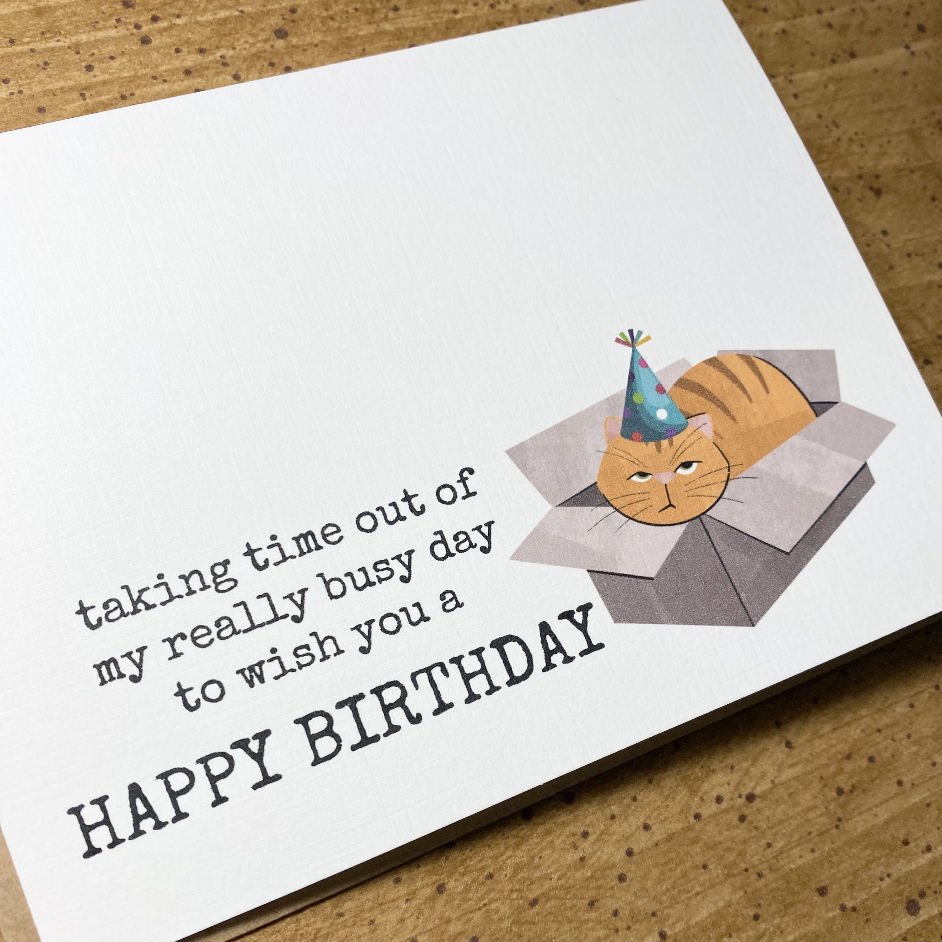 Happy Birthday From Cat Funny Cat Birthday Card Taking Time Out of My ...