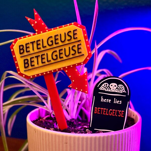 Beetlejuice Decor - Etsy
