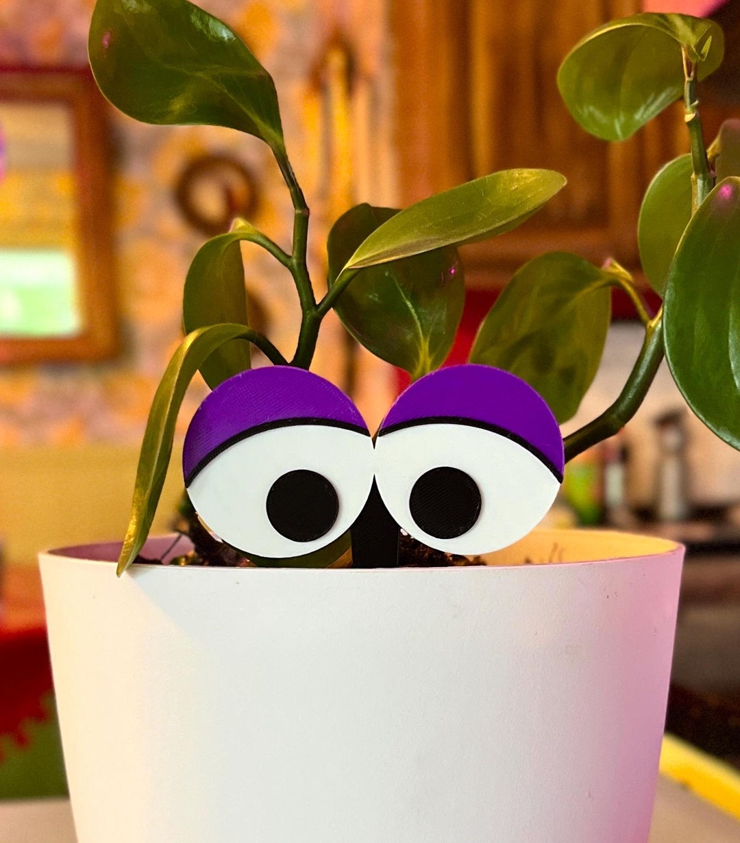 Googly Grimace Eyes Plant Stake, Muppet Puppet Eyes - Etsy
