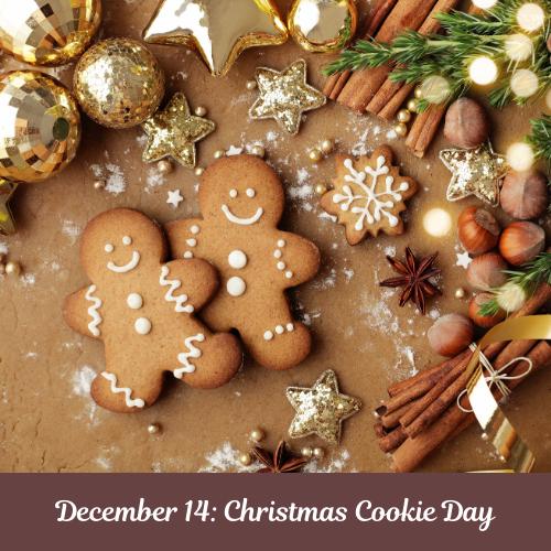 25 Days of Christmas 2024 Holiday Calendar, Instant Download Printable ...