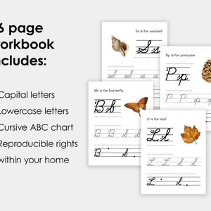 Learn Cursive With Nature Workbook | Cursive Alphabet Tracing ...