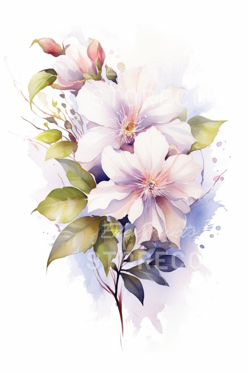 4 Set "stock Flowers" Floral, Botanical, Illustration Art Instant ...