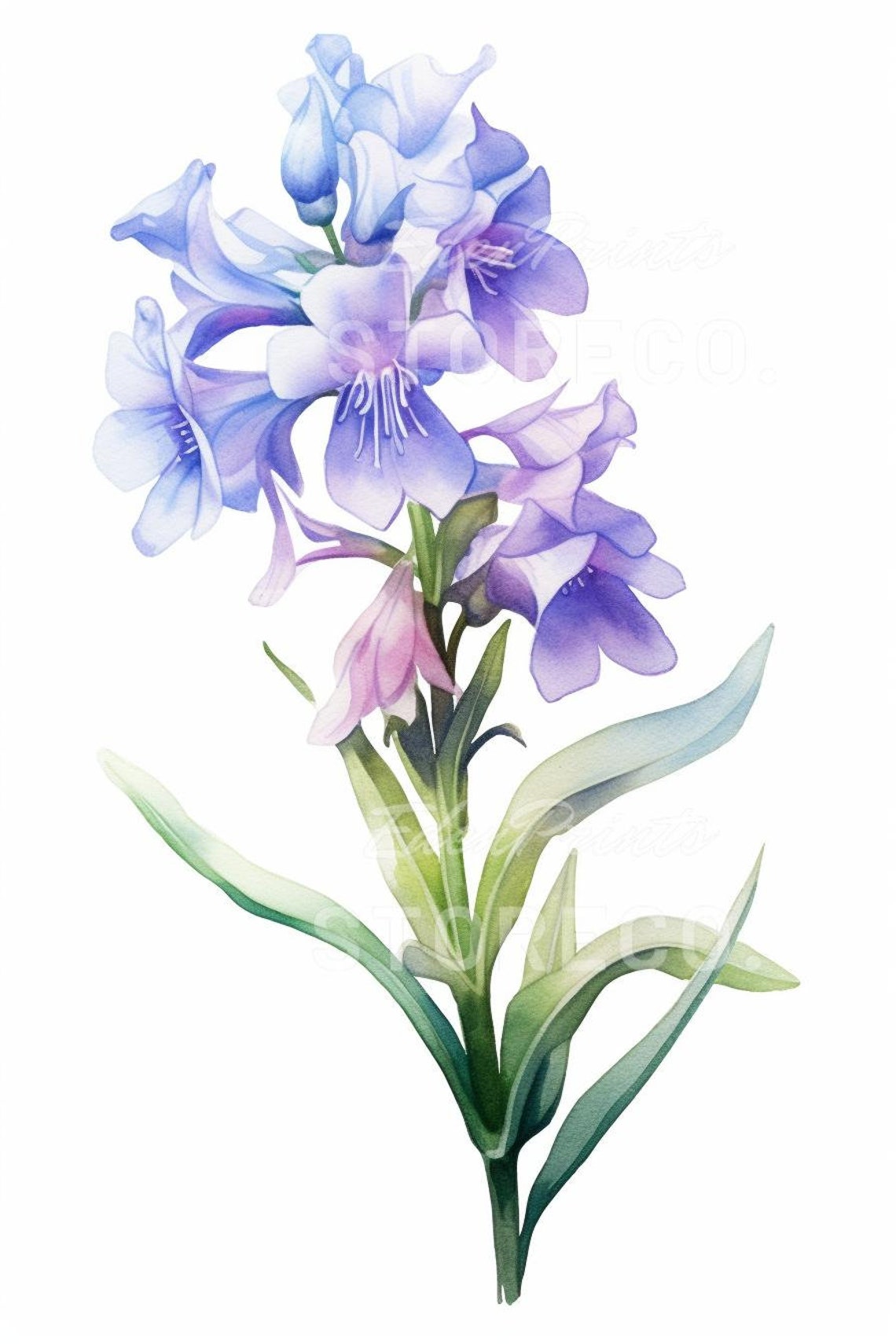 4 Set "lobelia Flowers" Floral, Botanical, Illustration Art Instant ...