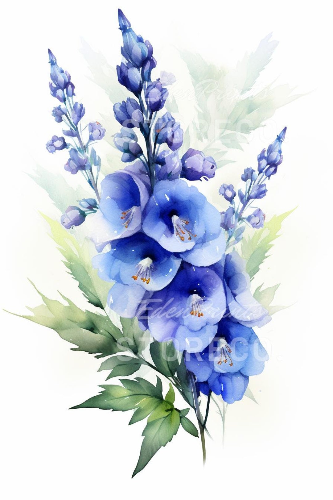 4 Set "veronica Flowers" Floral, Botanical, Illustration Art Instant ...