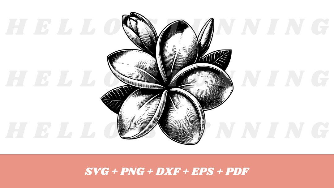 Plumeria SVG, Flower SVG, Floral Svg, Plumeria Plant, Plumeria Png ...