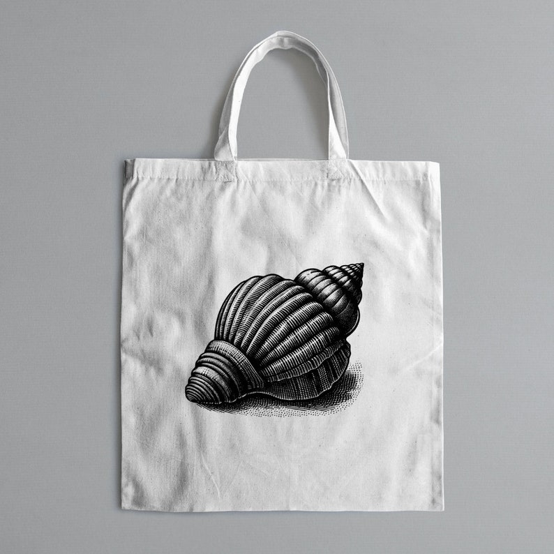 Sea Shells Svg, Seashell Svg, Clam Svg, Hawaii Water Ocean Sea Wave ...