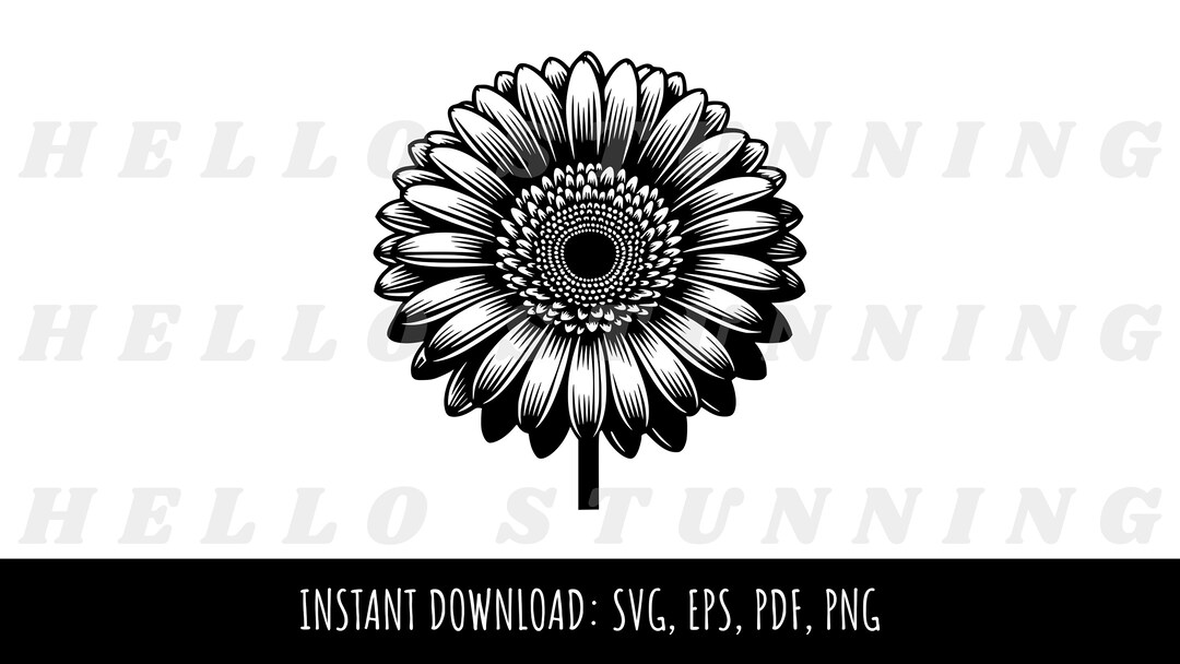 Gerber Daisy Svg, Gerber Daisy, Daisy Svg, Daisy Mandala Svg, Daisy ...