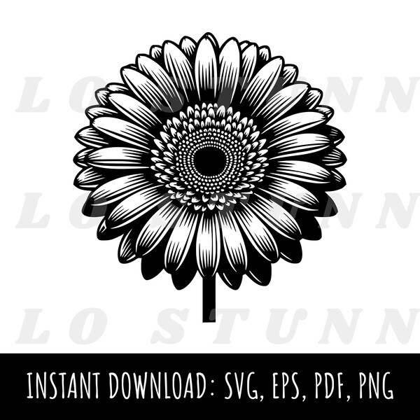 Gerber Daisy - Etsy