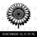Gerber Daisy Svg, Gerber Daisy, Daisy Svg, Daisy Mandala Svg, Daisy ...
