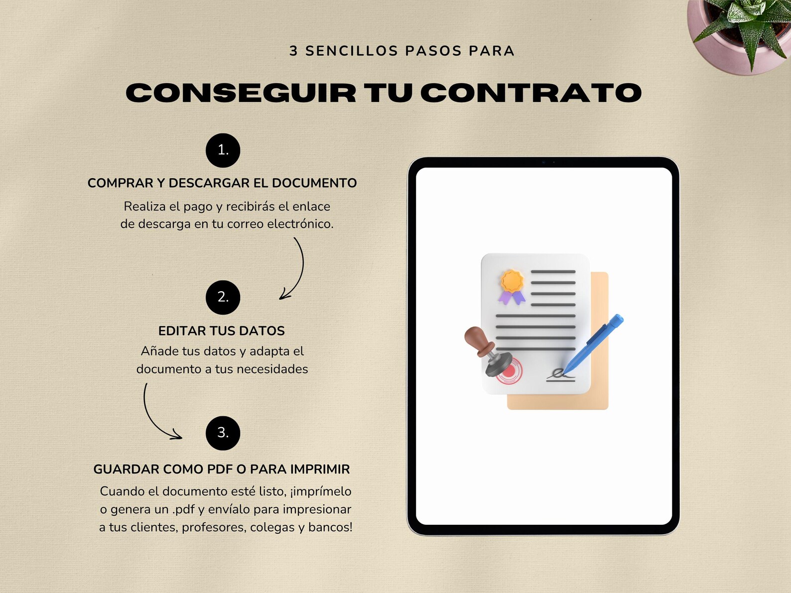 Contrato De Nota Convertible – Plantilla Editable En Word - Etsy