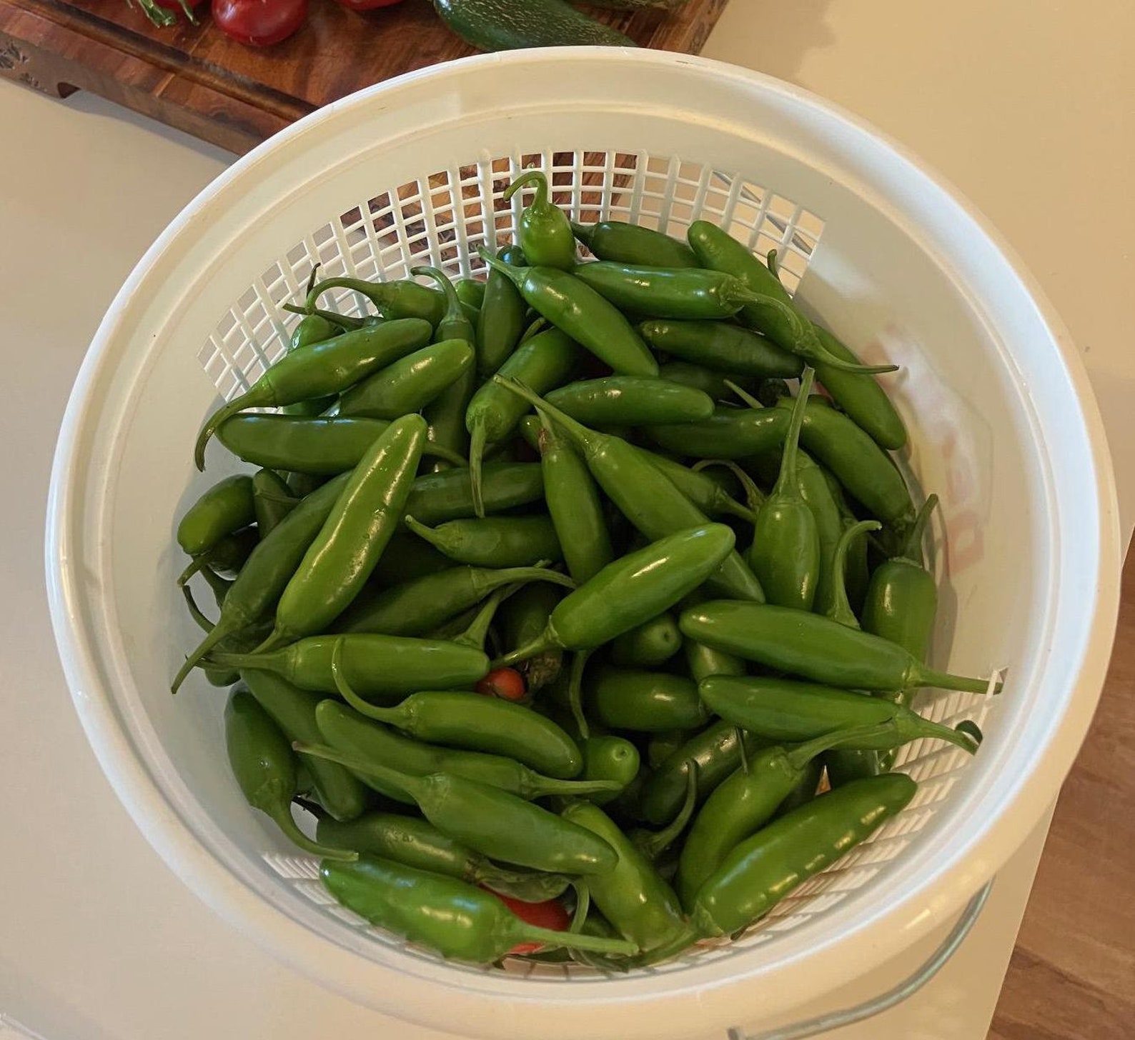 Serrano Peppers, Serrano Pepper Seeds, Hot Pepper Seeds, Chili Peppers ...
