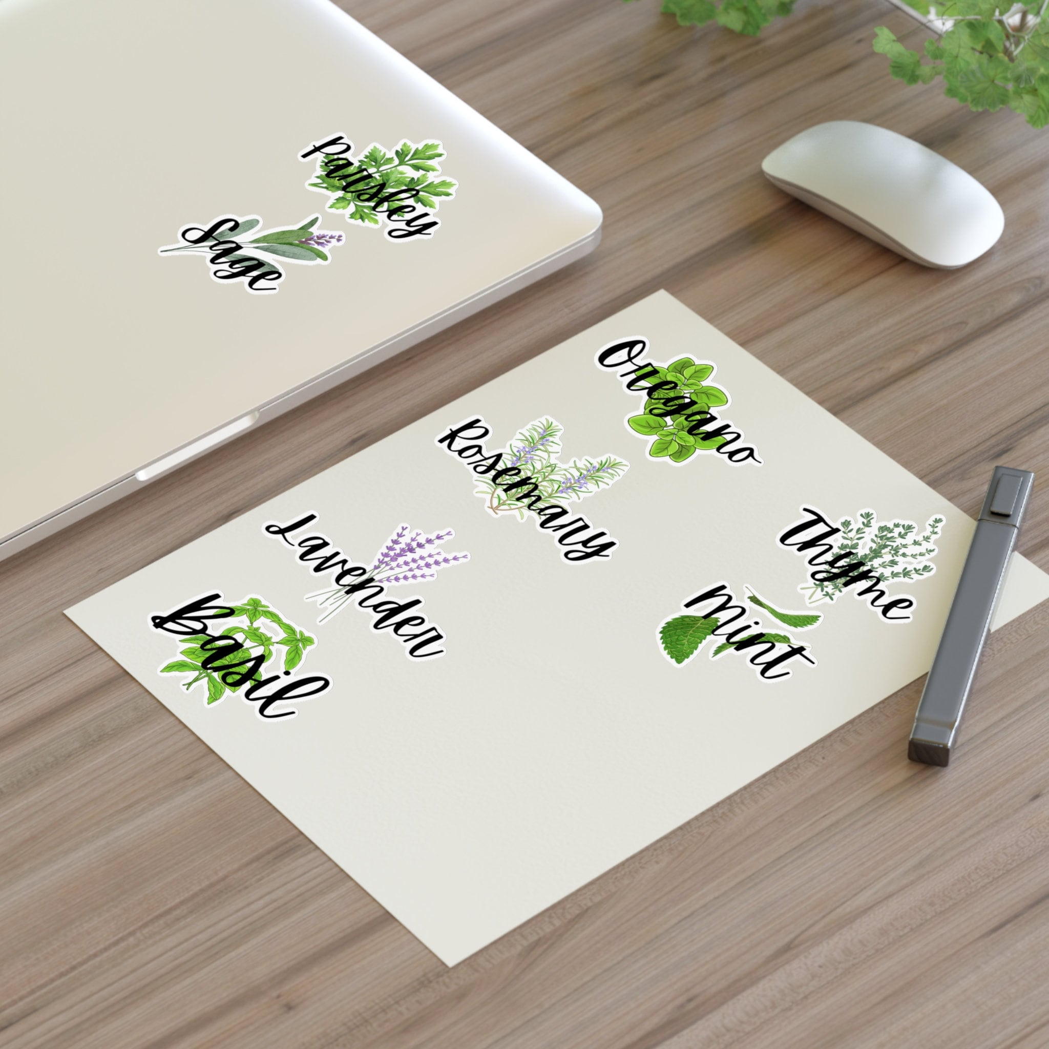 Herb Label Stickers, Vinyl Kiss-cut Herb Stickers for Indoor Herb Pots ...