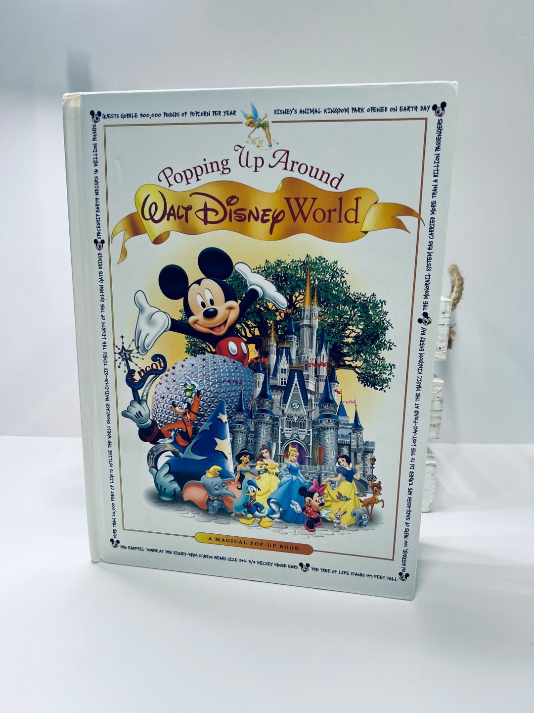 Popping up Around Walt Disney World Hard Cover Pop-up Book - Etsy