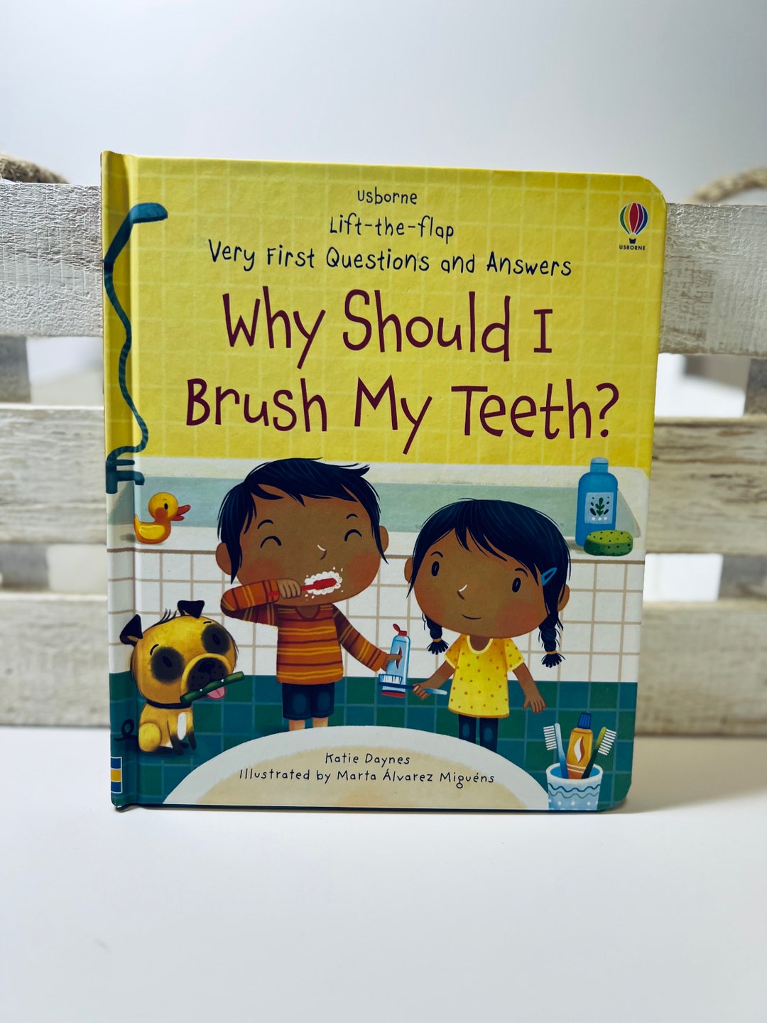 Why Should I Brush My Teeth Book-lift the Flap Book About - Etsy