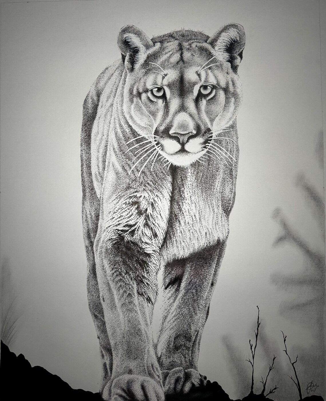 Lioness original Drawing - Etsy