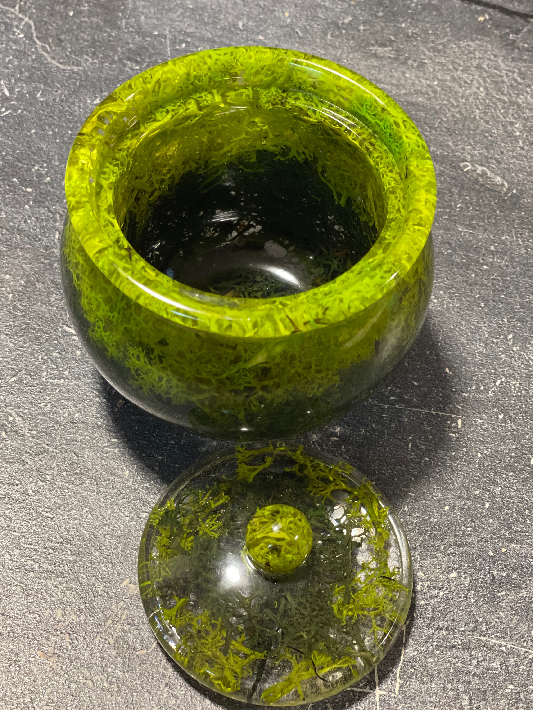 Magical Moss - Etsy