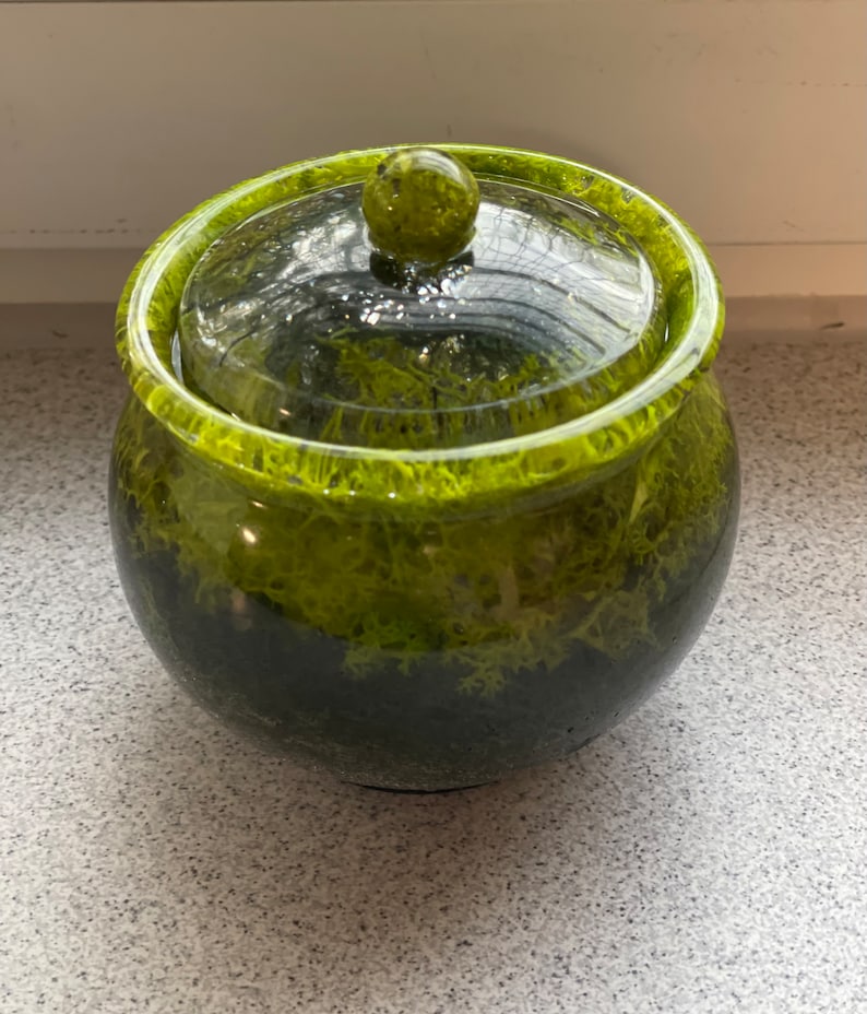 Magical Moss - Etsy