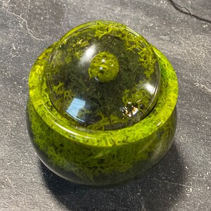 Magical Moss - Etsy
