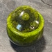 Magical Moss - Etsy