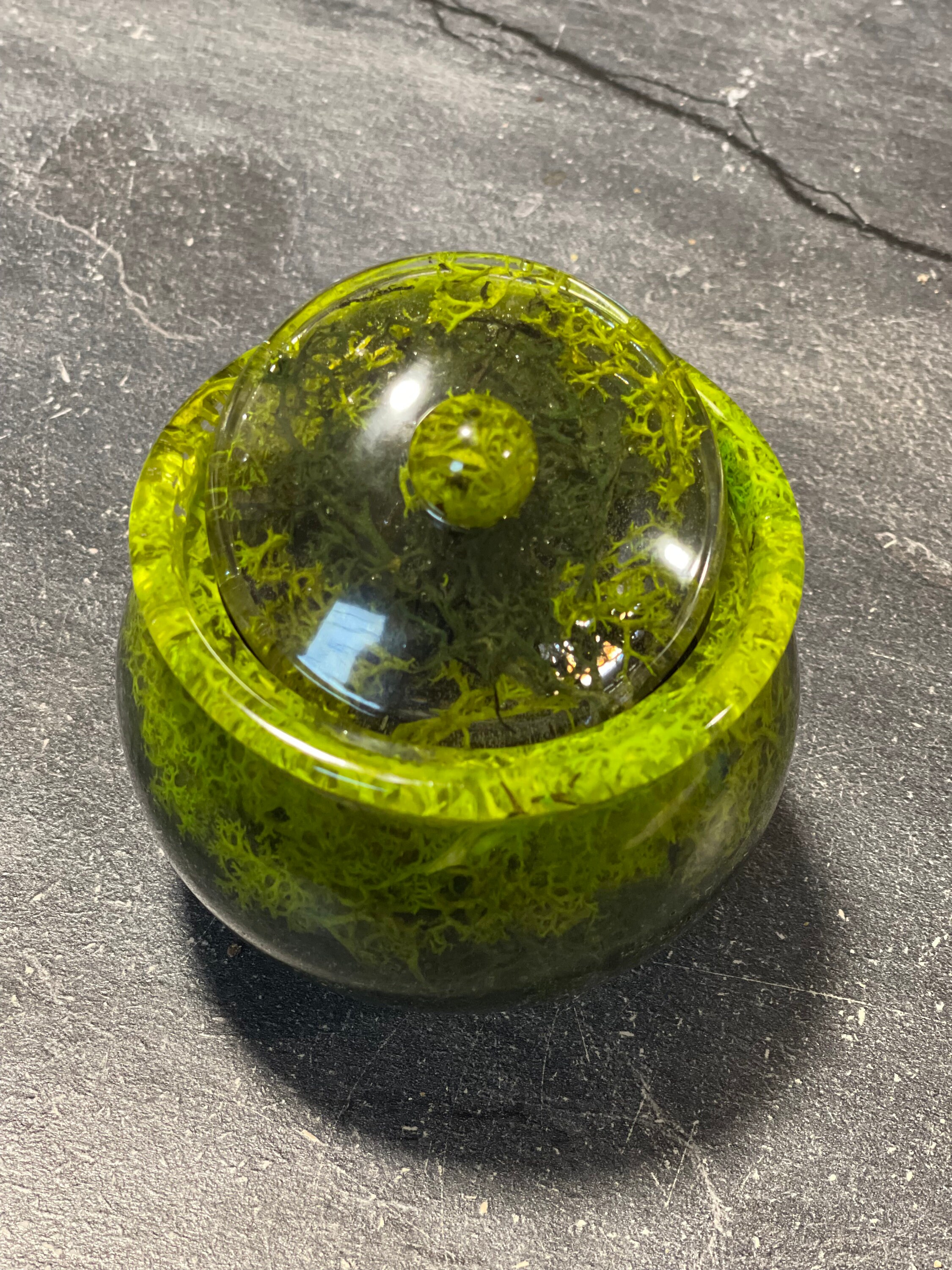 Magical Moss - Etsy