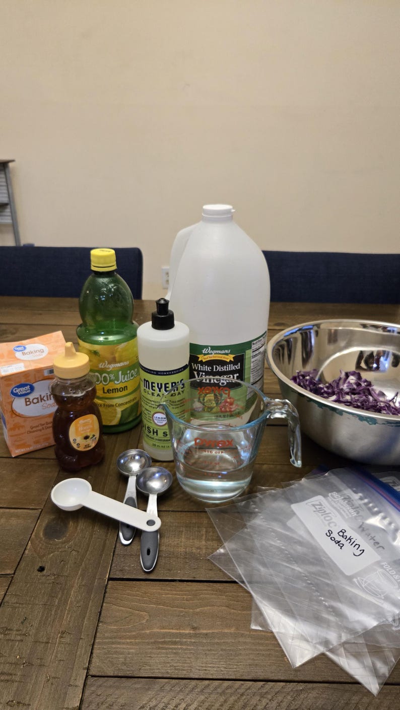 Red Cabbage Experiment: Acid, Base & Ph Scale / Elementary Chemistry ...