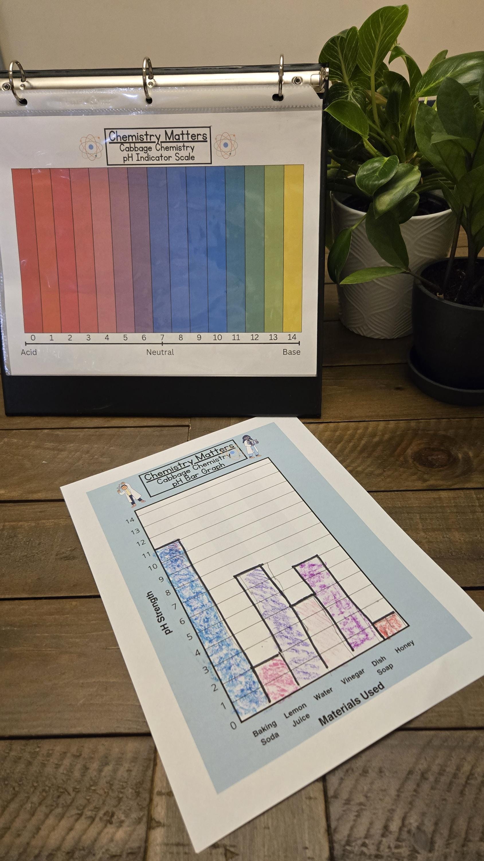 Red Cabbage Experiment: Acid, Base & Ph Scale / Elementary Chemistry ...