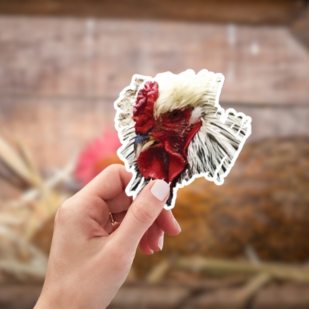 Light Brahma Rooster Chicken Sticker, Die Cut Cute Summer Chicken ...
