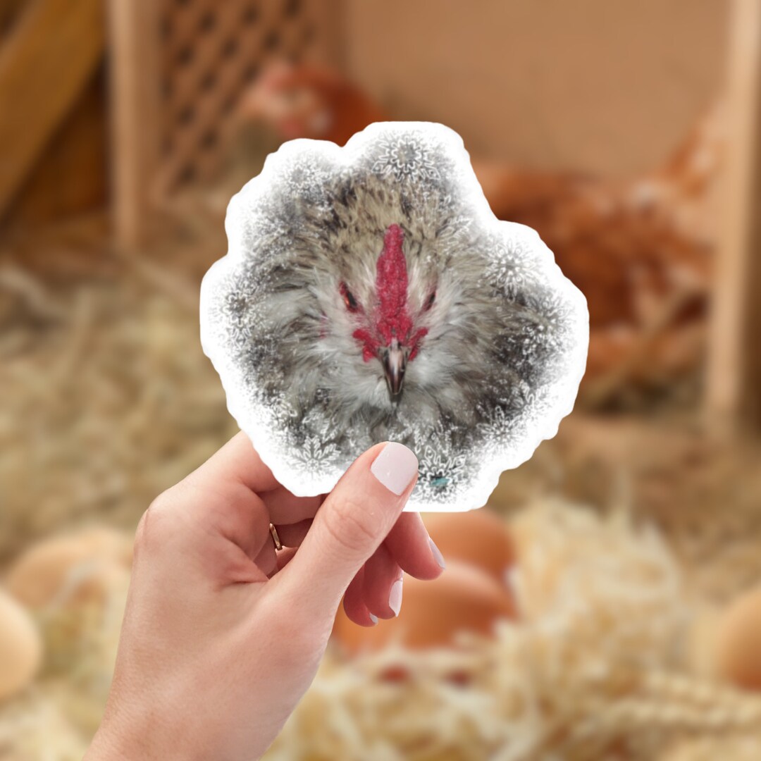 White Mottled Rooster Chicken Sticker, Die Cut Cute Summer Chicken ...