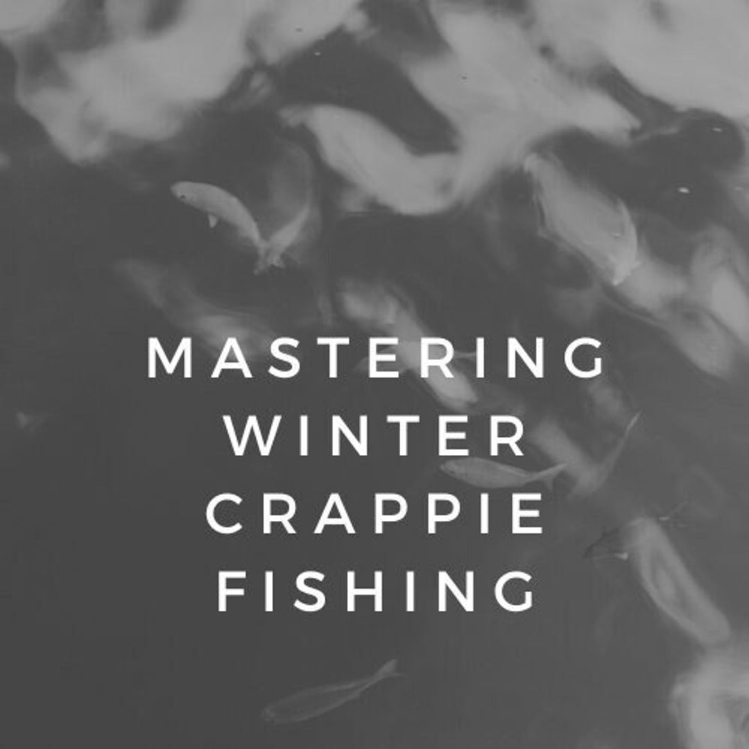 Mastering Winter Crappie Fishing: Expert Jigging Techniques Ebook for ...