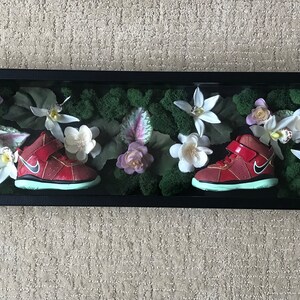 Sneaker Shadow Box - Etsy