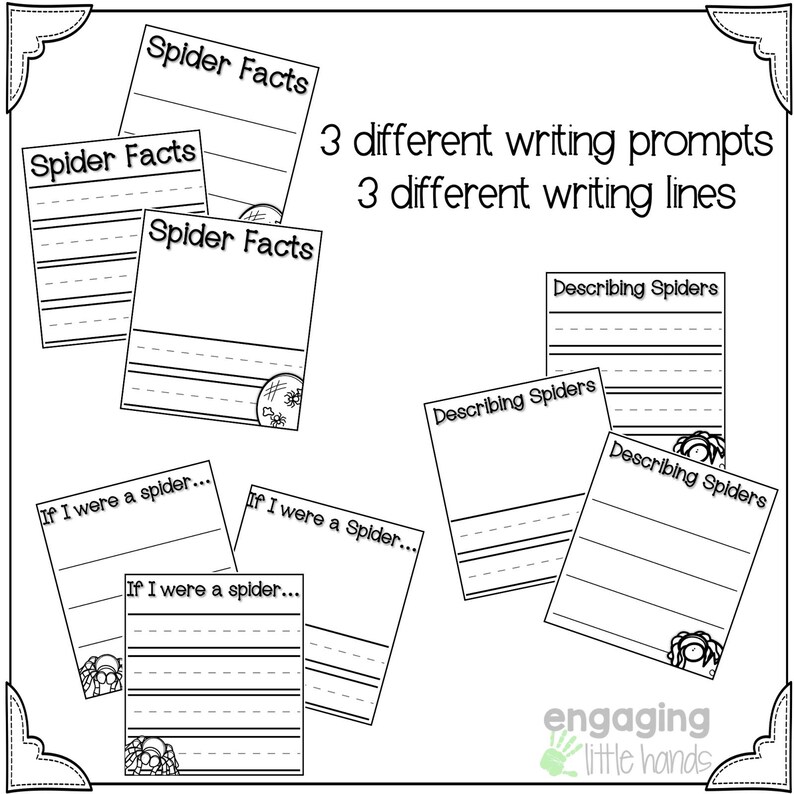 Spider Facts Interactive Mini Book - Etsy