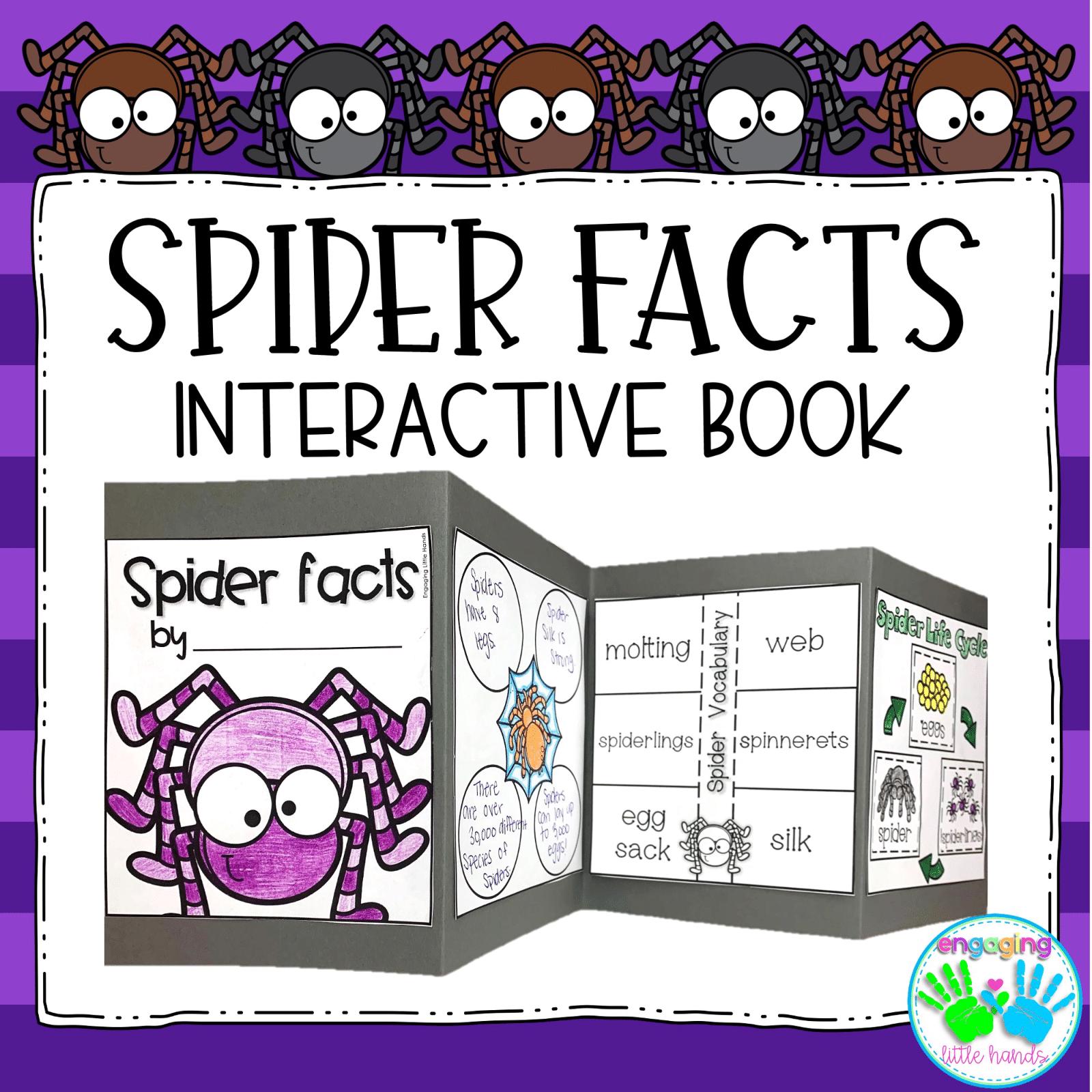 Spider Facts Interactive Mini Book - Etsy