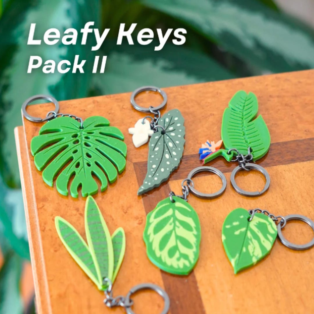 Leaf Keychain: Tropical Plant Design - Houseplant Keyring - Etsy
