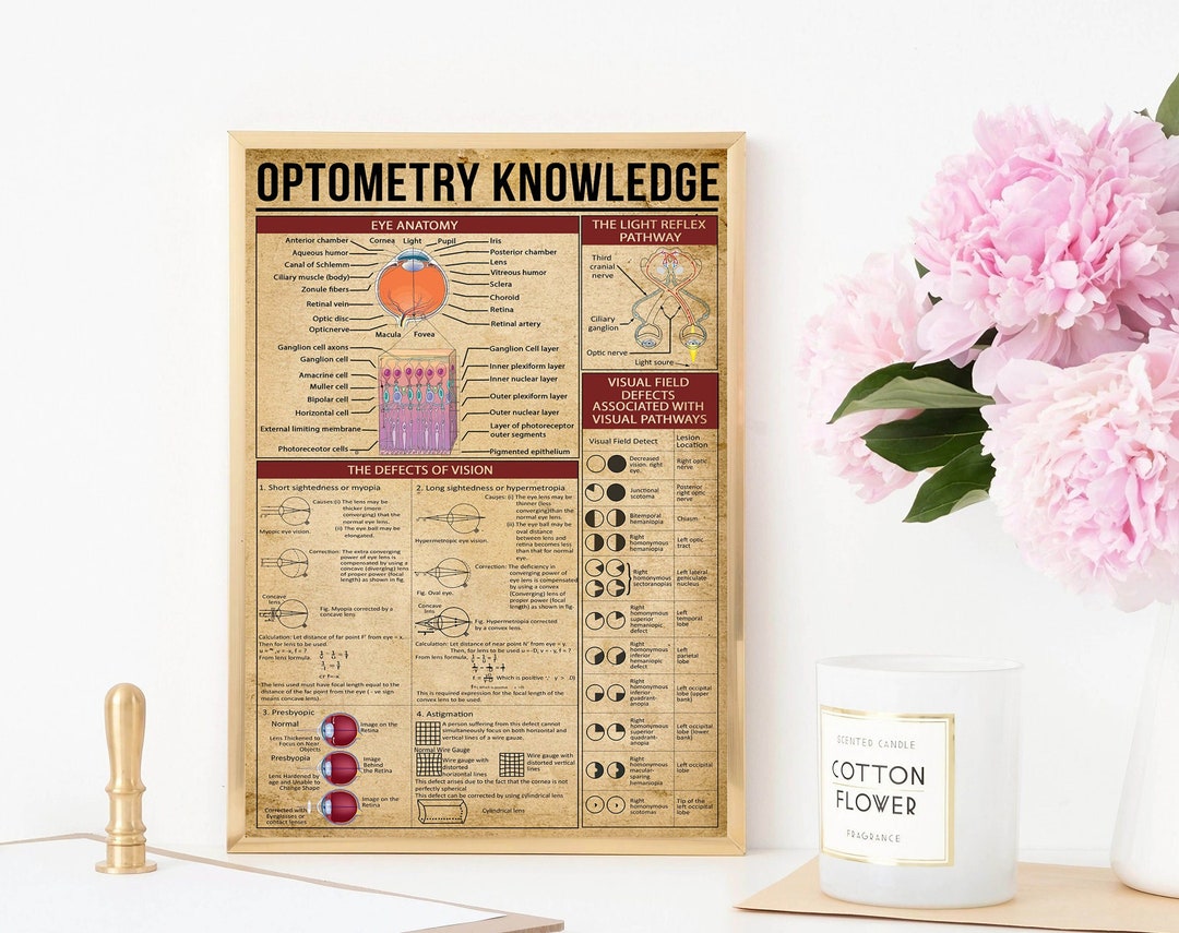 Optometry Knowledge Poster Eye Anatomy Art Print Optometry - Etsy
