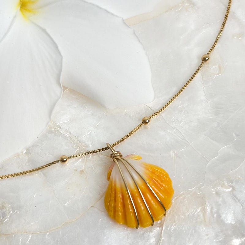 Sunrise Shell Necklace - Etsy